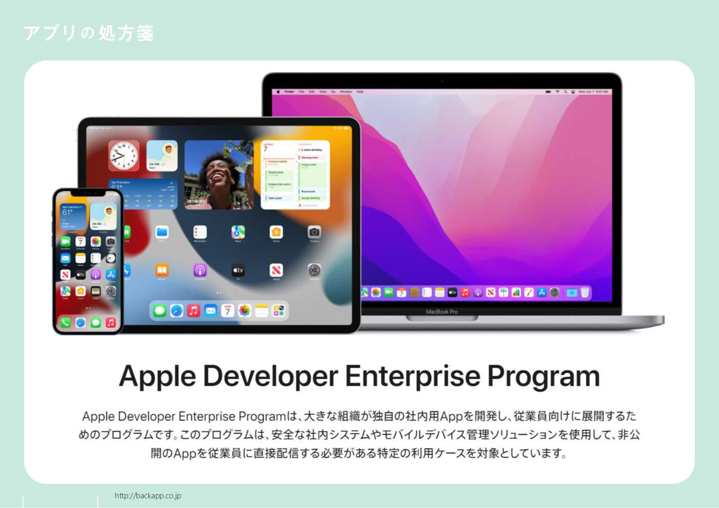 審査不要で社内の業務用iPhone/iPadアプリを開発できる「Apple Developer Enterprise Program」の特徴と注意すべきポイント - BackApp LLC.